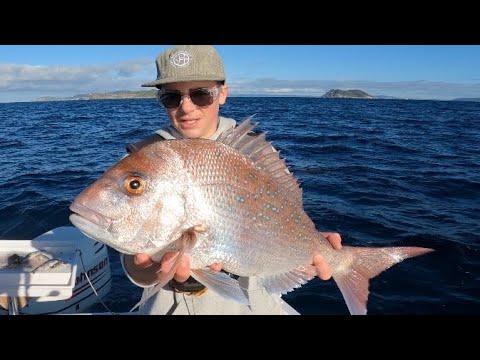 PINK SNAPPER CATCH AND CLEAN | Bottom Fishing on a Perfect Day - YouTube