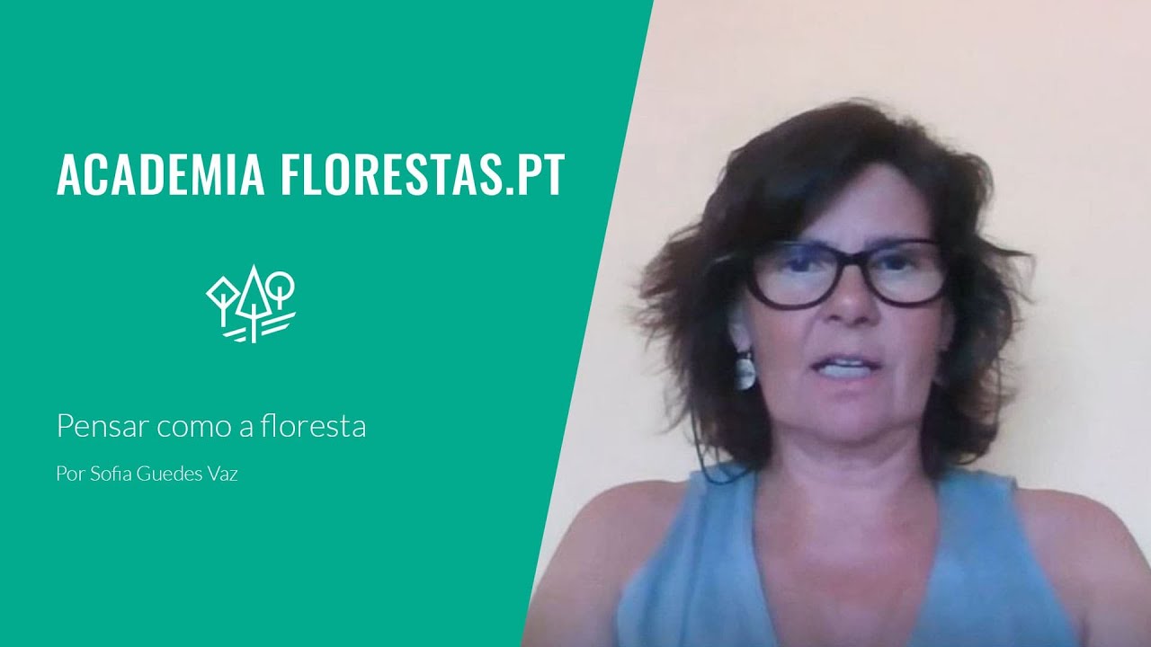 Florestas.pt - Academia "Pensar como a floresta", por Sofia Guedes Vaz - YouTube