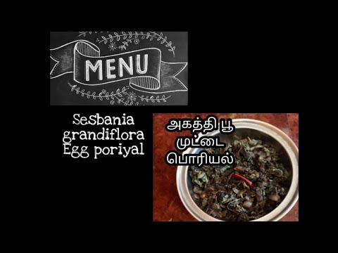 Agathi poo poriyal seivathu Epadi |Sesbania grandiflora poriyal ...