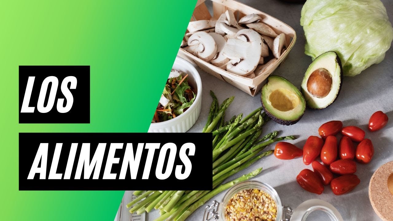 Los alimentos- Definición y clasificación - YouTube