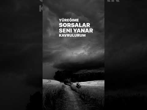 Rafet El Roman Özledim