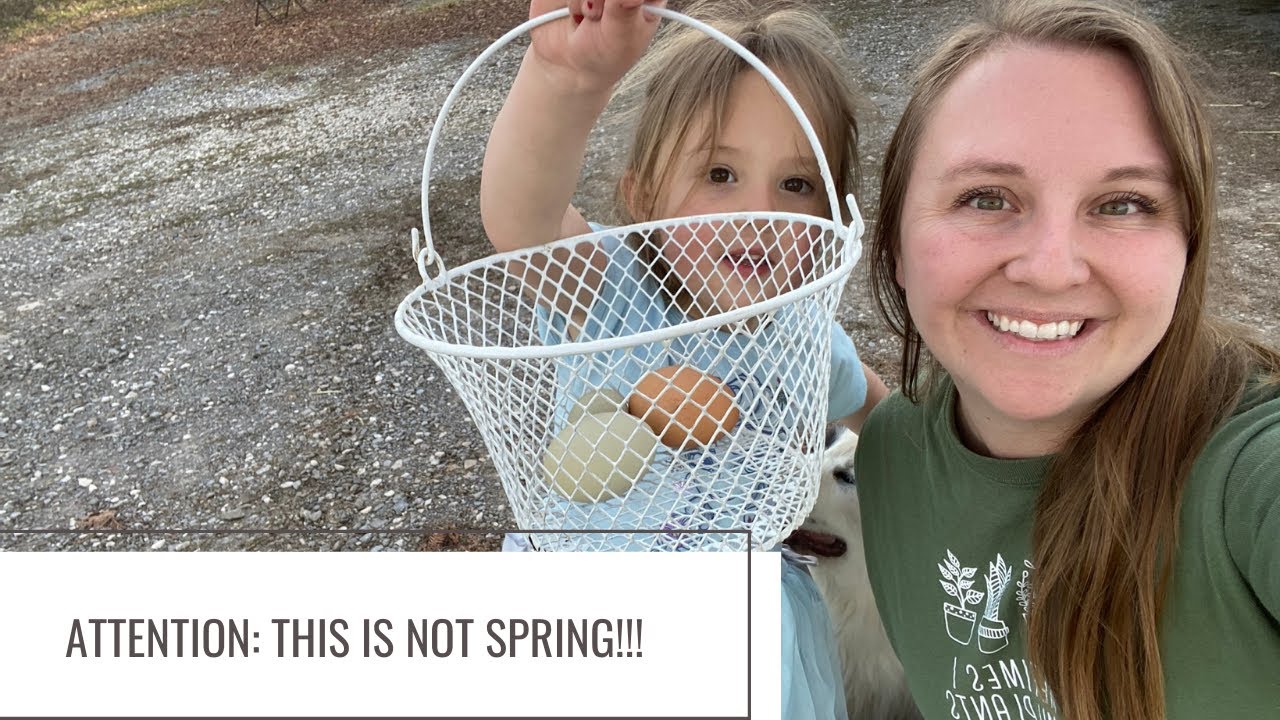 Beware of FAKE SPRING!! | Uncommon Roots Homestead - YouTube