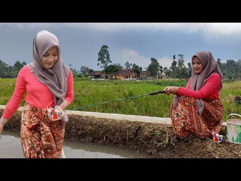 Mancing Cantik‼️ Rejeki Nomplok Intip Keseruan Mamah Muda Mancing Ikan, Fhising mania