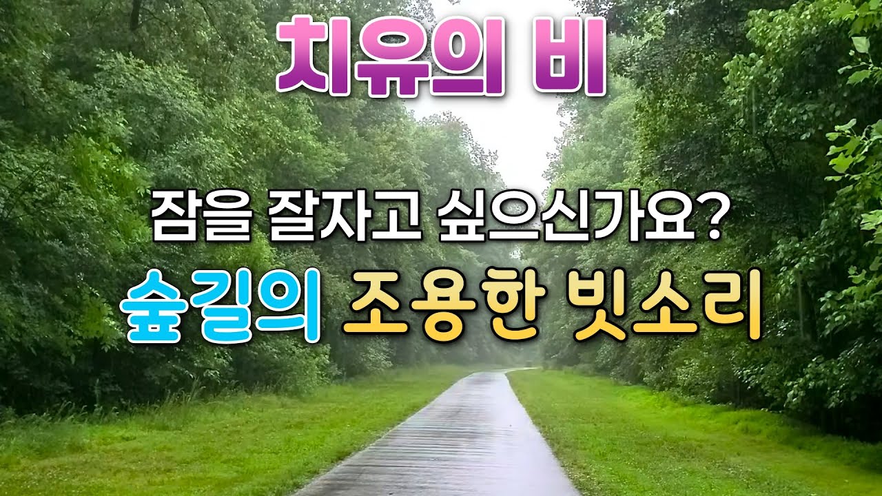 잠을 잘 자고 싶어요 깊은 잠을 위한 숲길의 조용한 빗소리 불면증과 이명 치료를 위한 빗소리 백색소음 Youtube