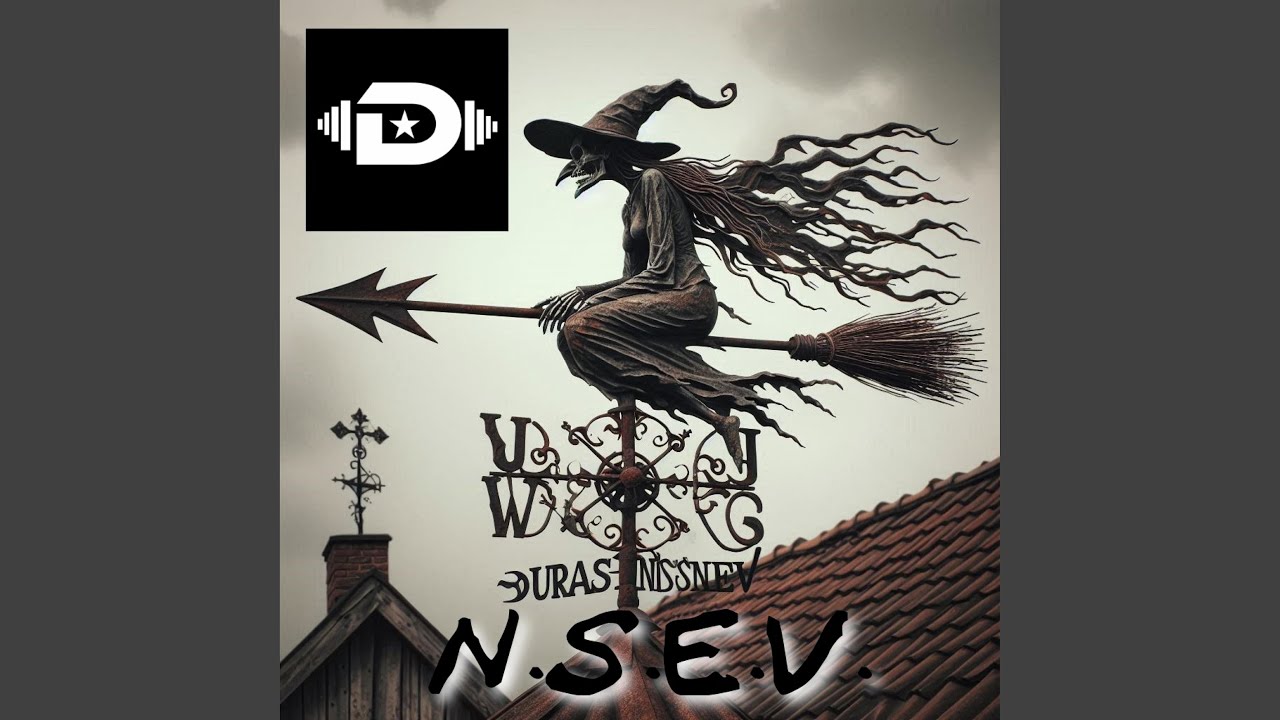 NSEV (EDM Festival) - YouTube