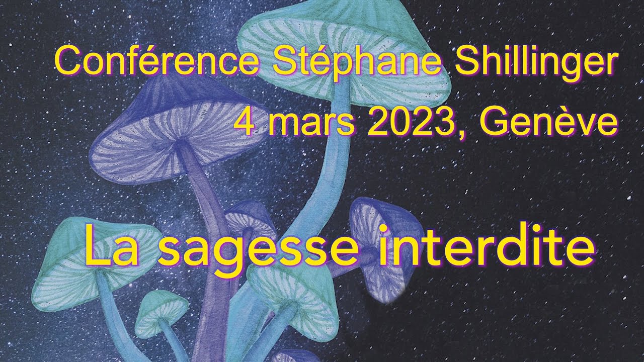 La Tribu : conférence Stéphane Schillinger lors de la célébration annuelle 2023 - YouTube