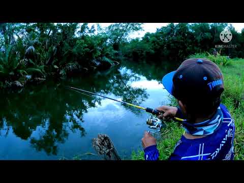 Mancing Casting dimuara pake lure killer lidah panjang