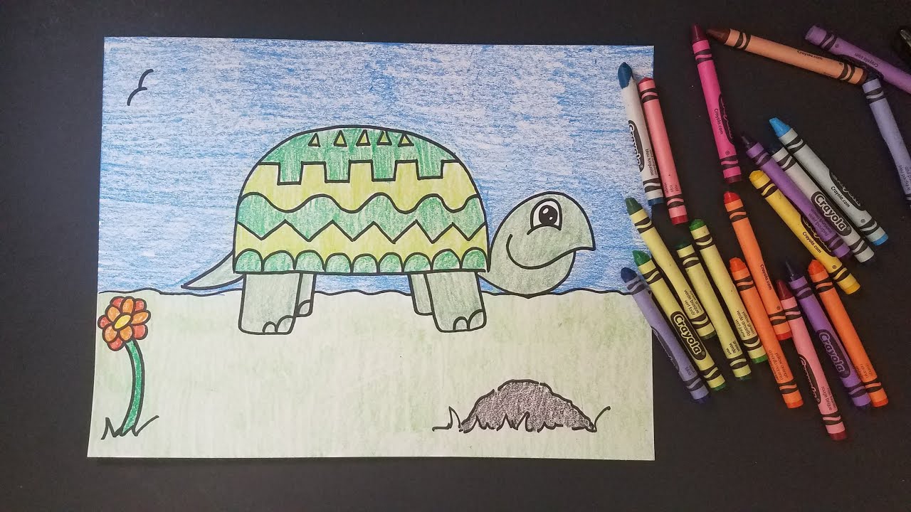 How to Draw a Terrific Turtle - YouTube