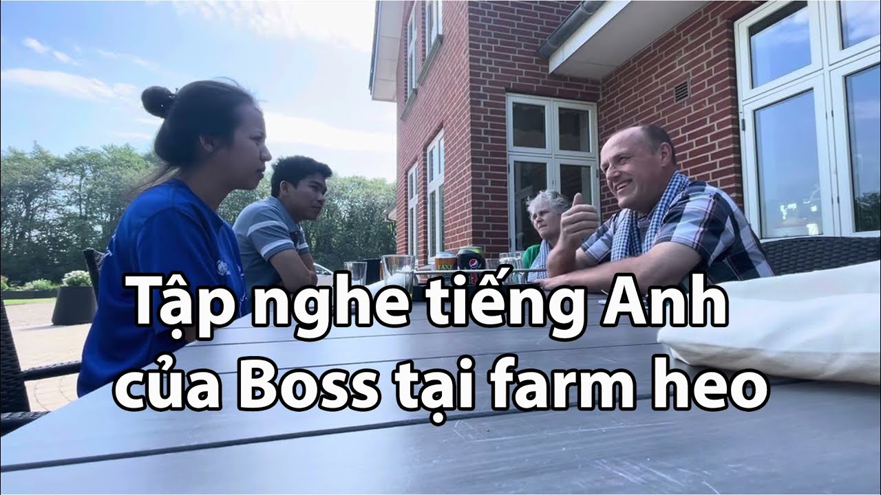 Tập 220 - Tập Nghe Tiếng Anh Của Boss Heo - Thực Tập Hưởng Lương Đan ...