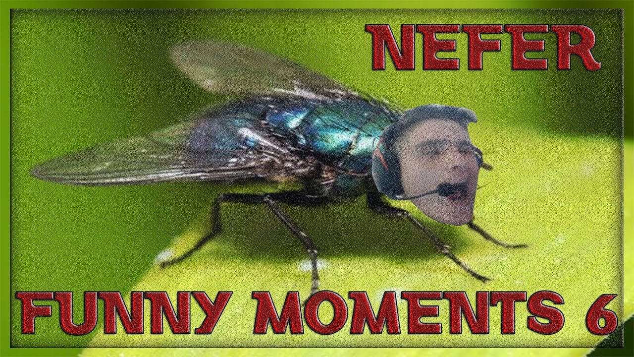 Nefer - Sinek (Funny Moments 6) - YouTube
