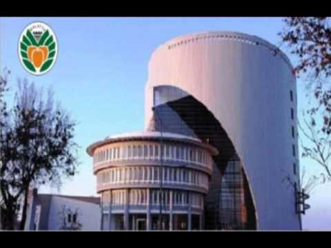 Güler Duman - Düsünmeden Niçin Sevdim