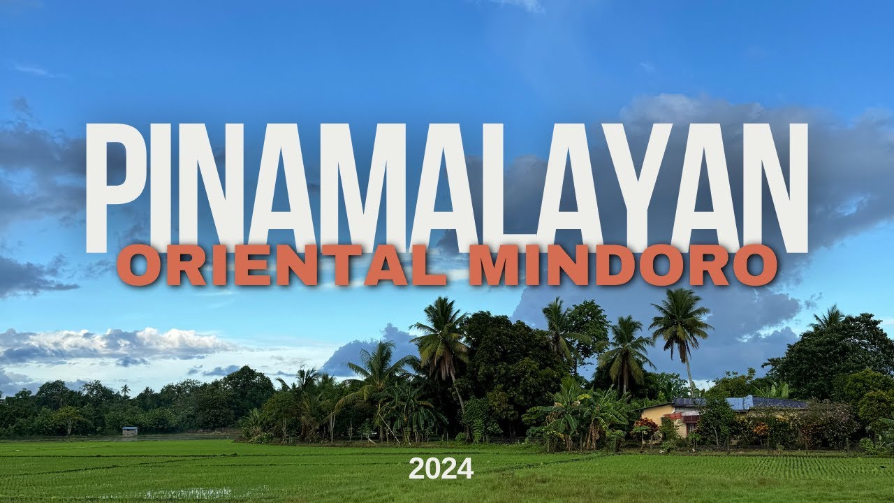 Pinamalayan Oriental Mindoro | How our Bayan looks like as of 2024 - YouTube