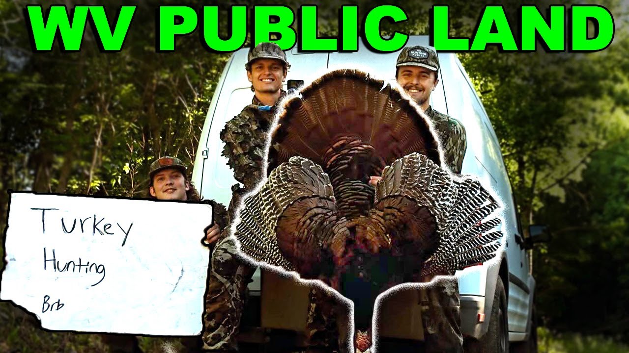 PUBLIC LAND GOBBLER at 20 YARDS!! (Hunting with Curl Hunts!) - YouTube