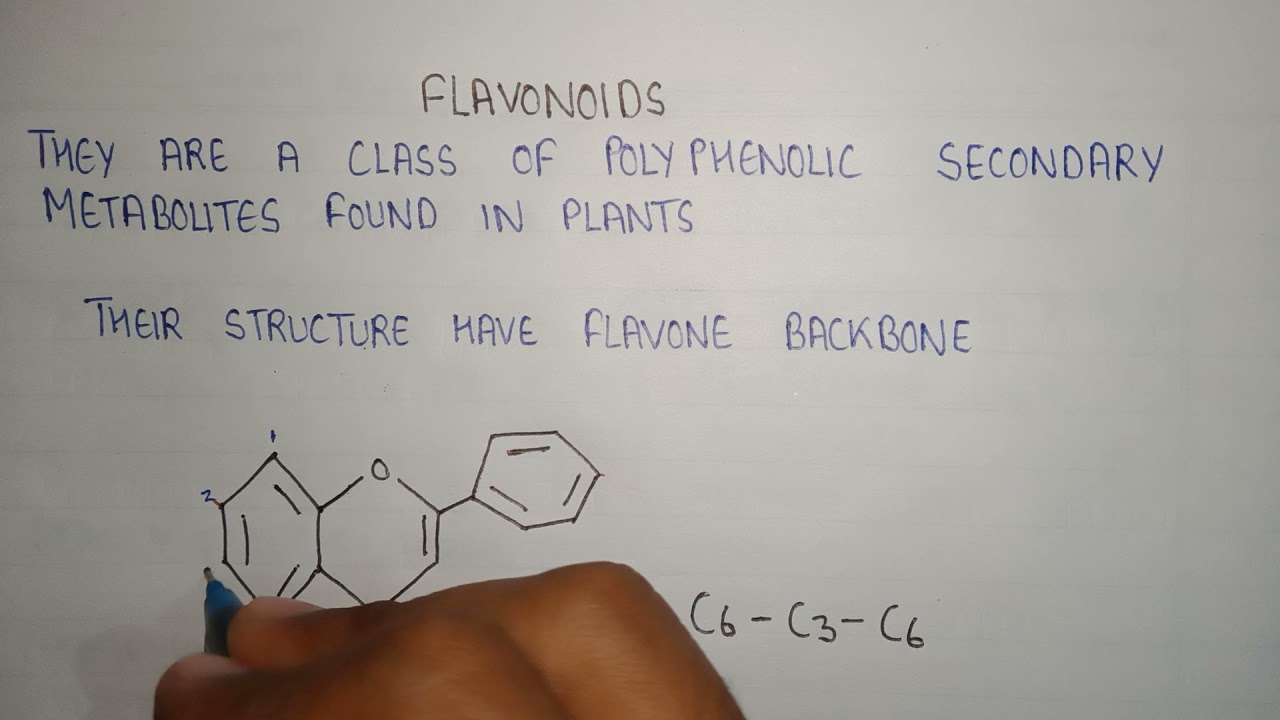 What are flavonoids | flavone backbone structure | flavonoids in ...