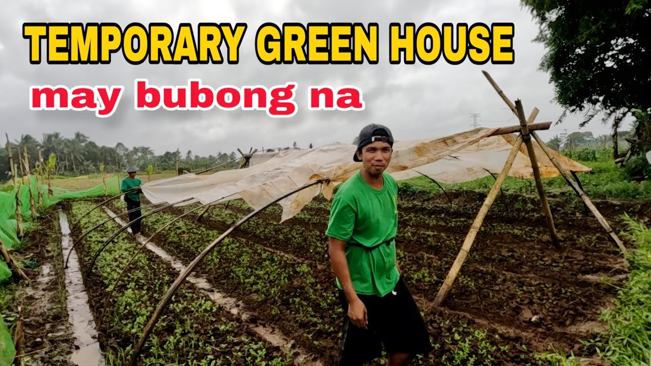 Pag bubong ng diy green house - YouTube