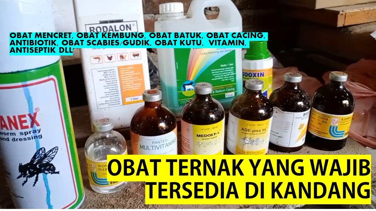 OBAT TERNAK YANG WAJIB TERSEDIA DI KANDANG - vitamin,, obat cacing ...