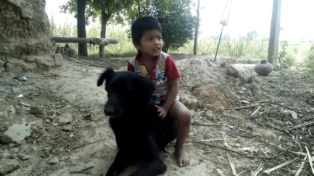 Dog riding - YouTube