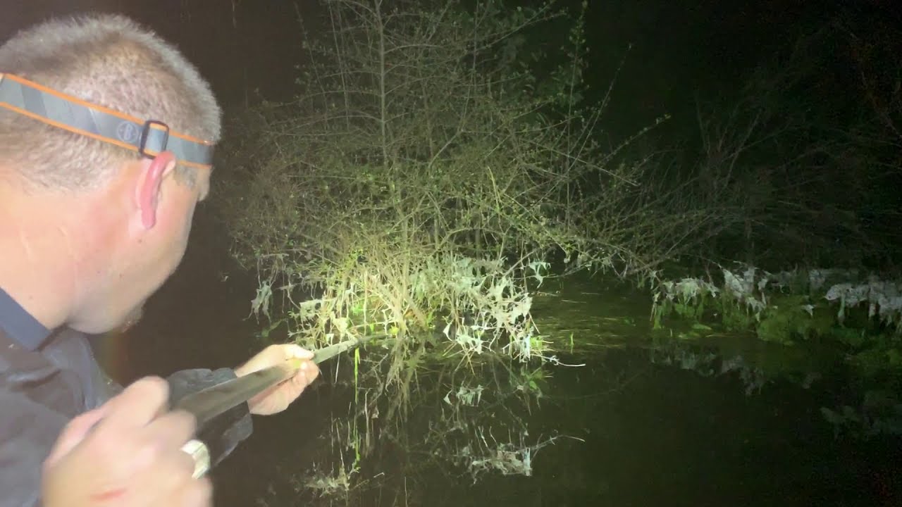 How To GIG FROGS in Florida - YouTube