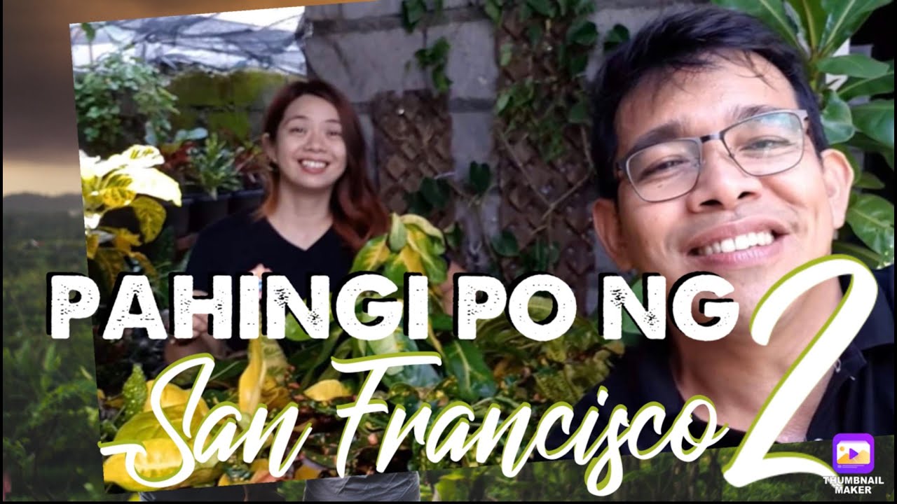 PAHINGI PO NG SAN FRANCISCO | PART 2 - YouTube