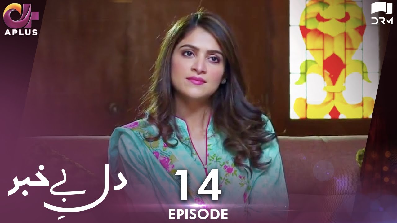 Pakistani Drama| Dil-e-Bekhabar - EP 14 | Aplus Gold | Adeel Chaudhry ...