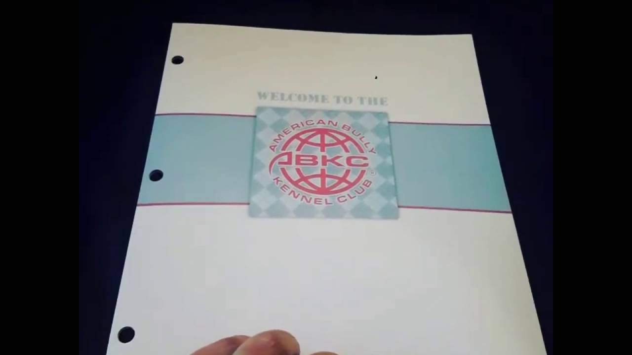 New Abkc Premium Puppy Package - YouTube