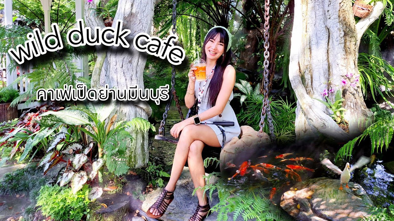 wild duck cafe คาเฟ่น้อง เป็ด มีนบุรี มีน้ำตก ธรรมชาติ #wildDuckCafe ...