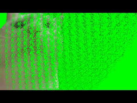 catJAM/vibing cat thanos snap dissolve green screen - YouTube