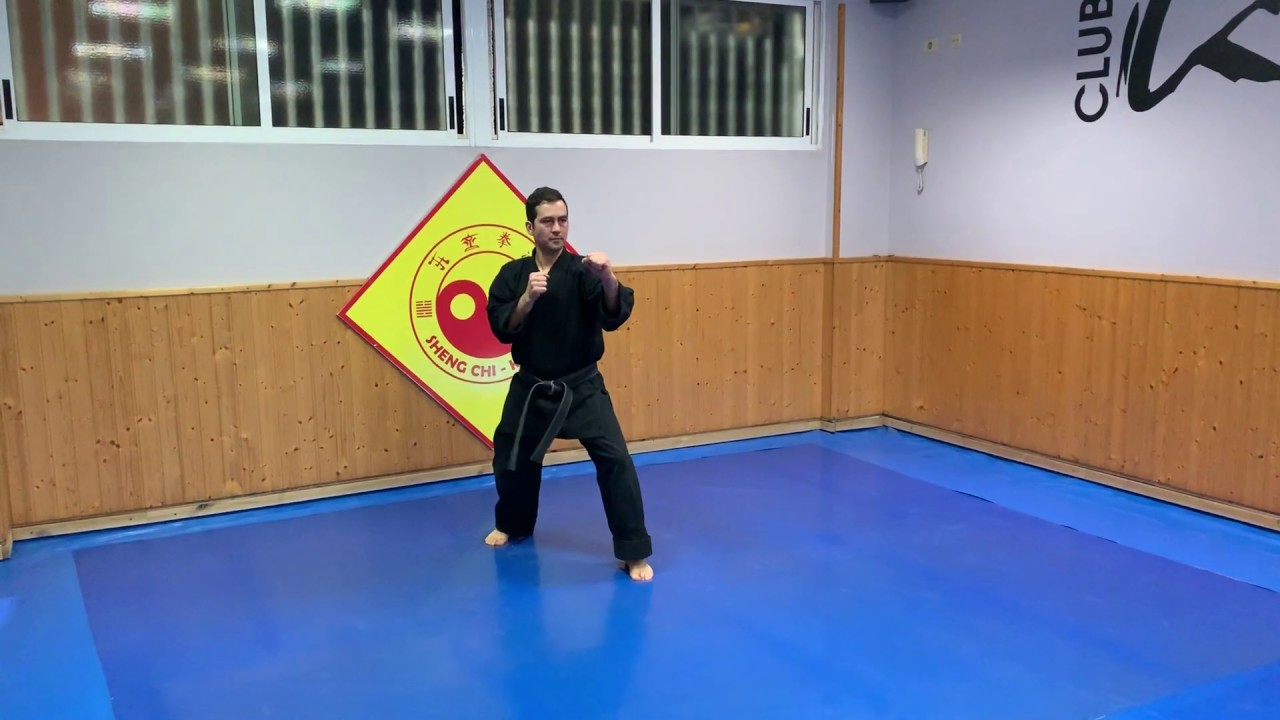 Curso Kenpo Karate 2º NIVEL - TEMA 2 Técnicas de pierna amarillo - YouTube