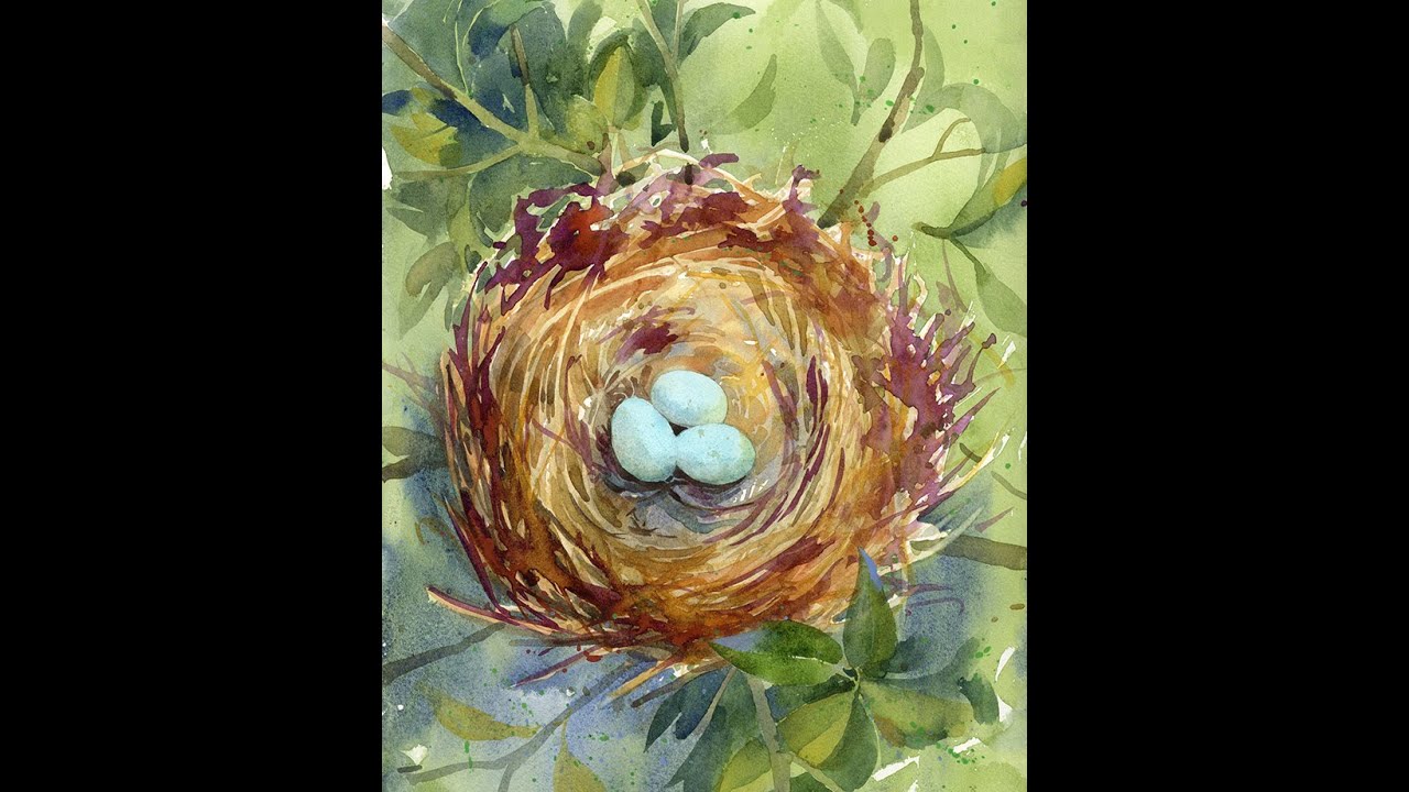 A Bird's Nest in Watercolor - YouTube