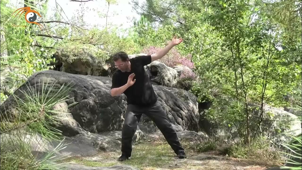 16th Posture in Laojia Yilu Form - Punch Draping Over Body - repeated about 10 times - YouTube