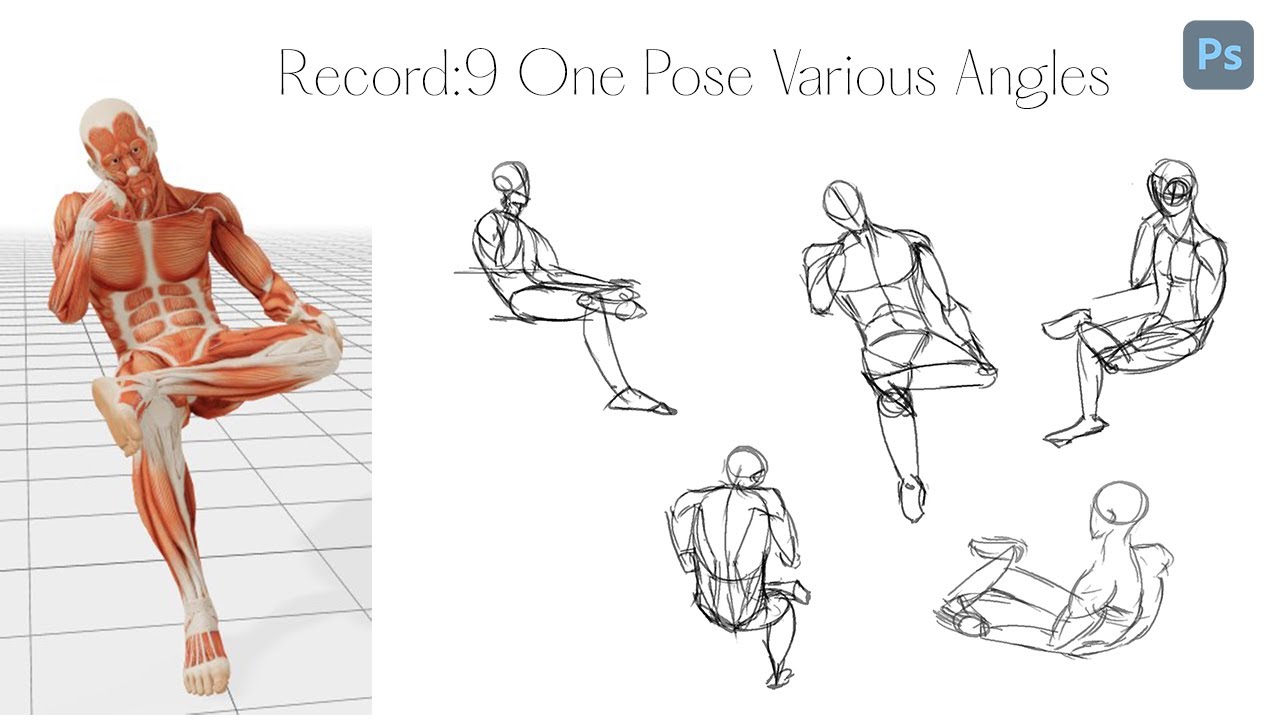 🖊Record 9 | One Pose, Different Angles | Daily Art Studies [PHOTOSHOP ...