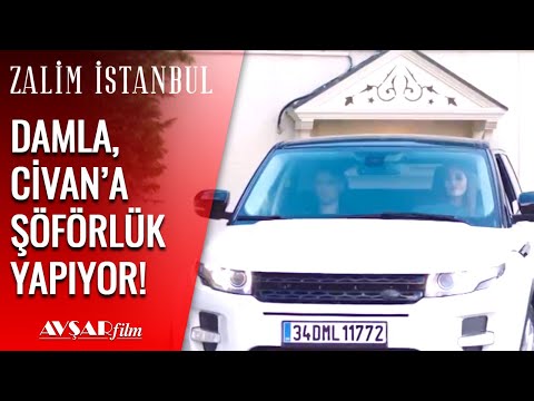 Damla, Civan'a Şöförlük Yapıyor! 🚗💘 | Zalim İstanbul 12. Bölüm