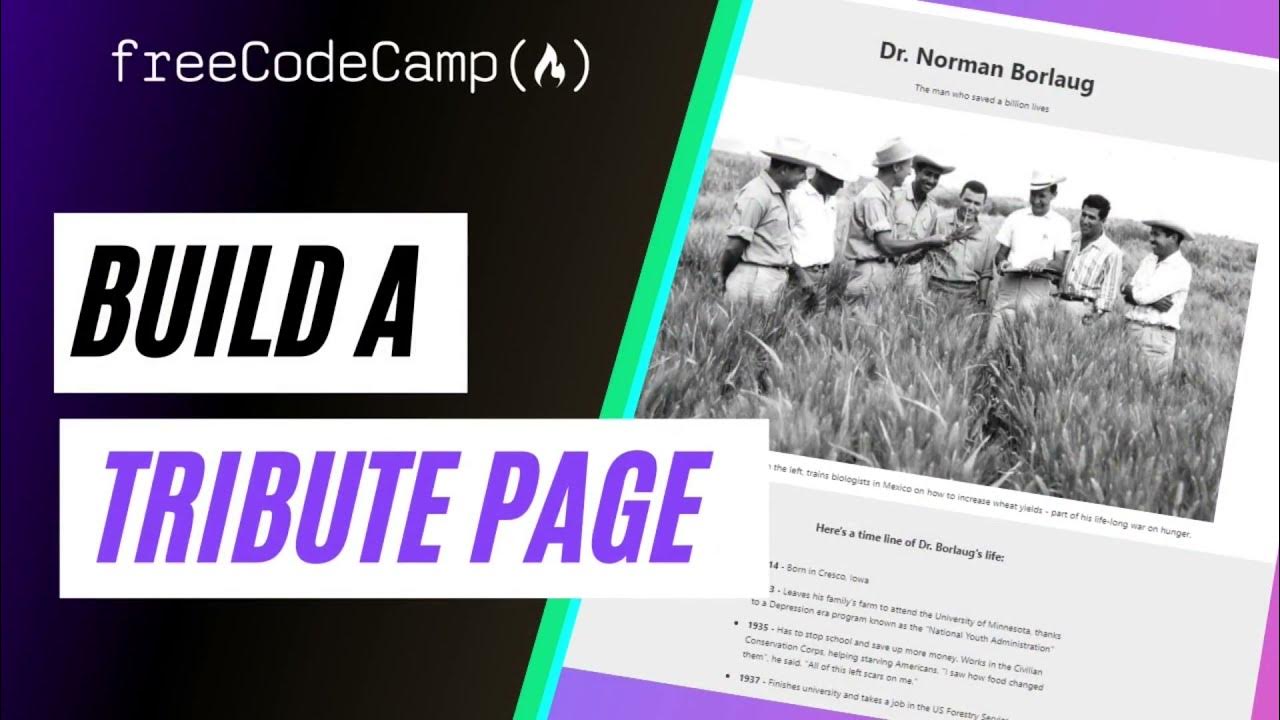 🔴 Build a Tribute Page | Responsive Web Design (freeCodeCamp) - YouTube
