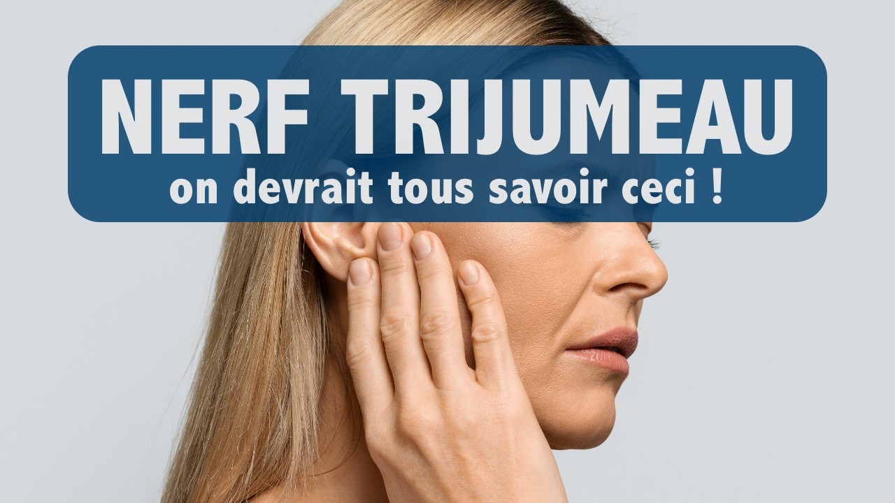 Nerf trijumeau : ce qu’il faut absolument savoir (capsule express ...