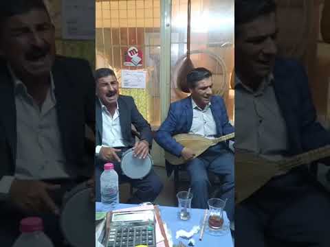 Recep kara kuş   bir güzel salınıp güller içinde10 Kasım 2024