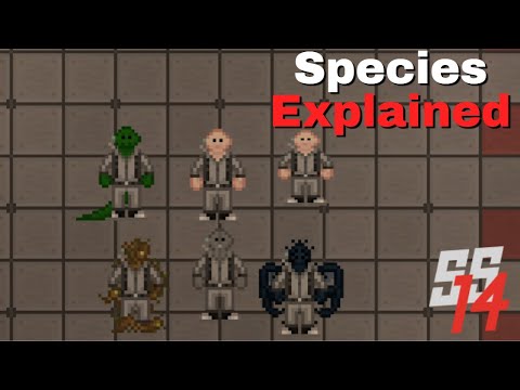 SS14 - Species Explained (Out of Date) - YouTube