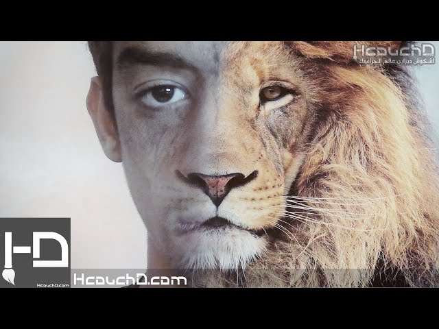 Half Human Half Lion Face