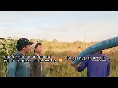KOMEDI DAYAK-Mateimunu Kea Rajia Jitoh-Sinetron Singkat Kalimantan Tengah