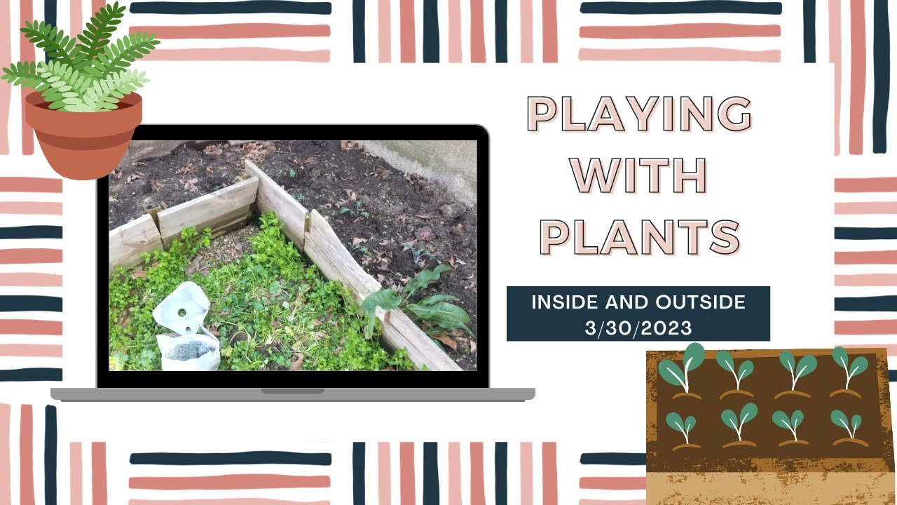 Playing with Plants | Inside and Outside | 3/30/2023 - YouTube