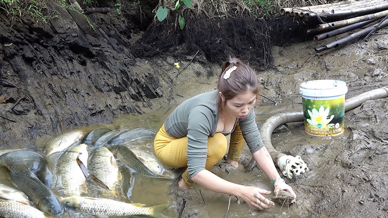 Full Videos: Survival Fishing,Unique Fishing, Fishing Techniques In The ...