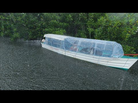 Hot Boat Camping With My Dogs in Heavy Rain All Day! - Fishing For my Dogs Dinner