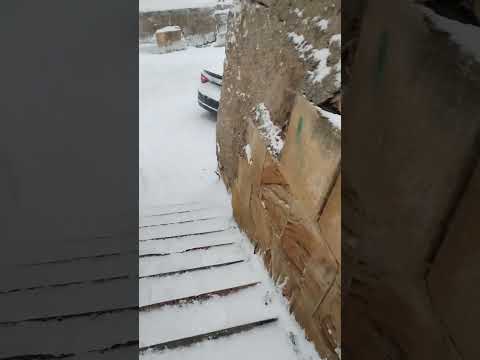 14 марта 2025 г.