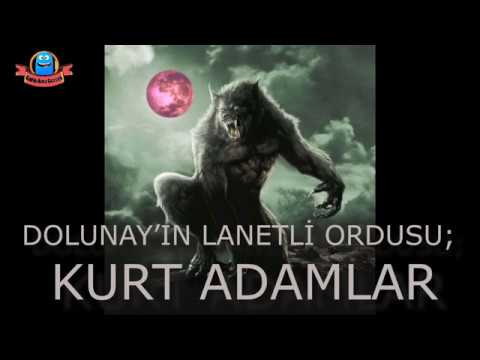 Dolunay'ın Lanetli Ordusu ; Kurtadamlar - Garip Ama Gerçek
