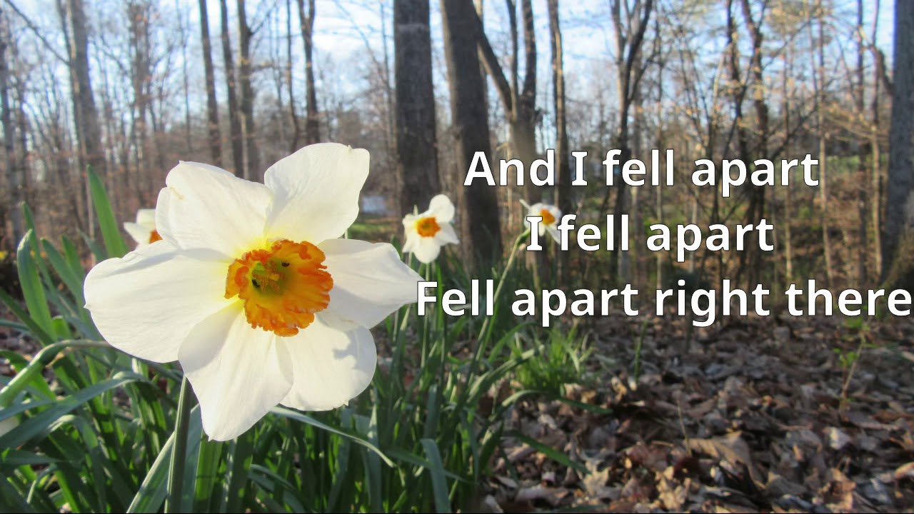 Tate Mcrae | Fell Apart Lyrics - YouTube
