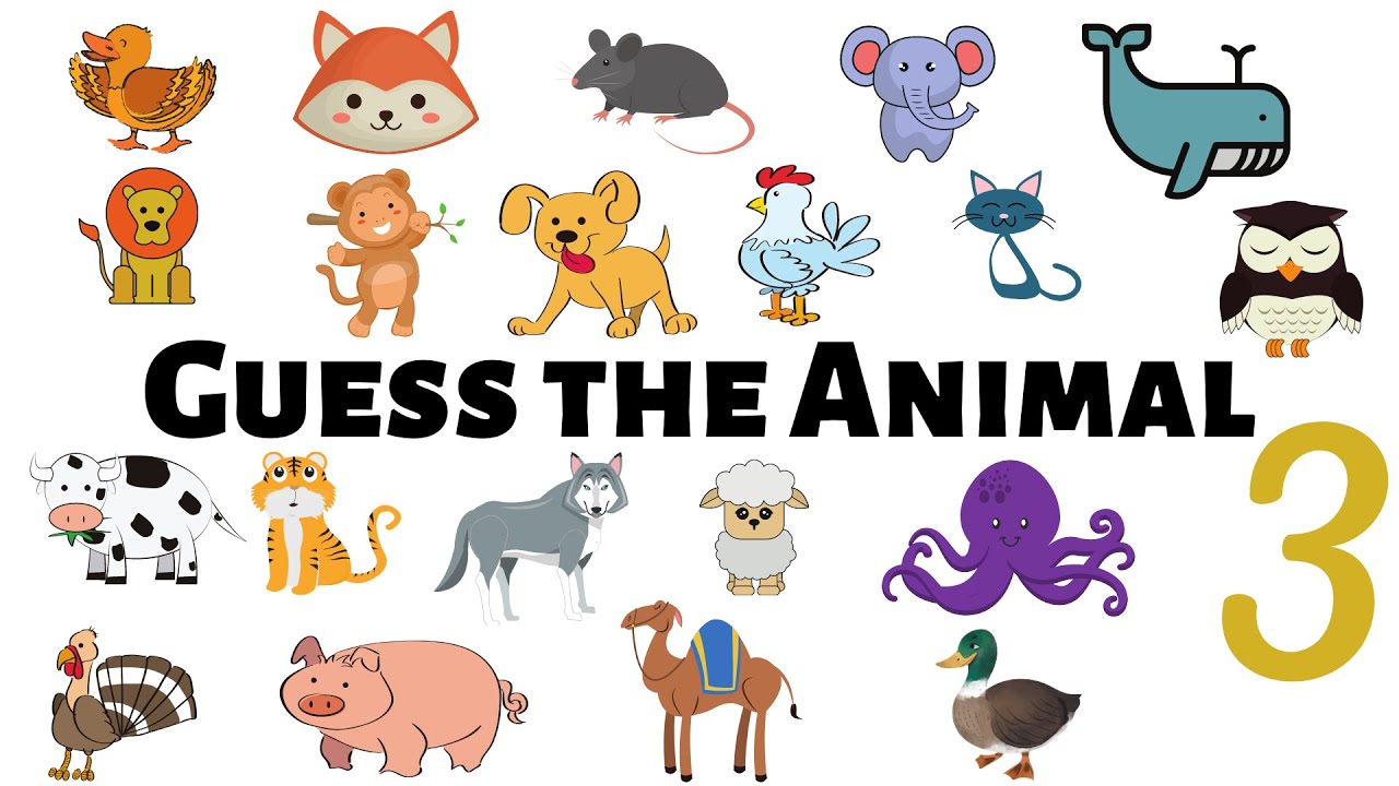 Guess the Animal 3 - YouTube