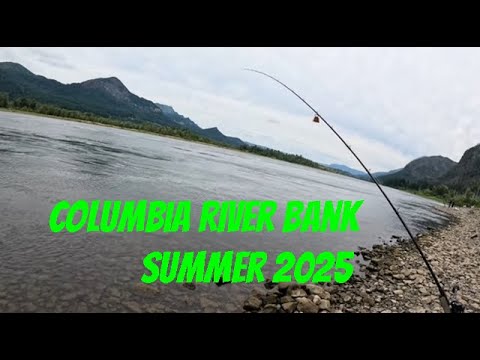 Columbia River Bank Fishing| Sockeye Salmon Fishing and Steelhead ...