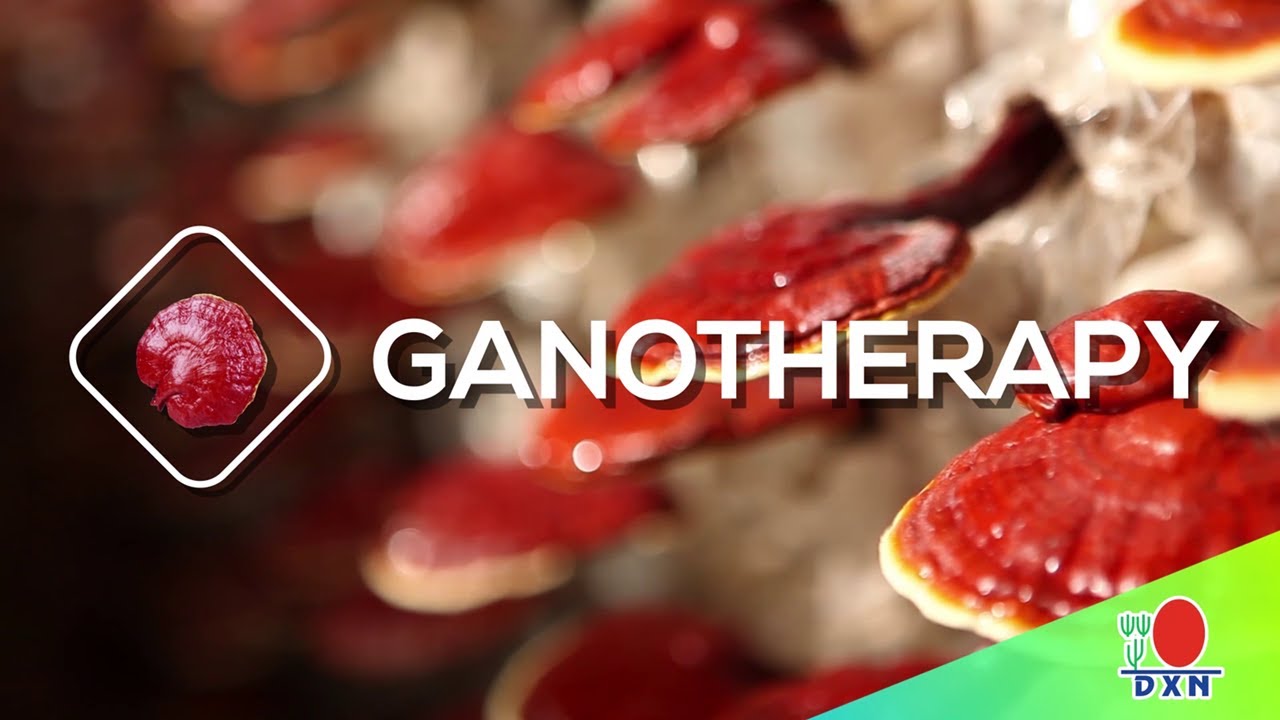 DXN Modules Video Series – 1) Ganotherapy - YouTube