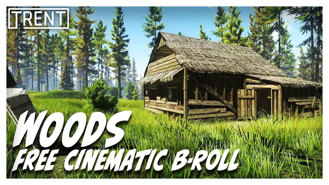 Escape From Tarkov Woods: Cinematic B-roll Footage | Free Download for ...