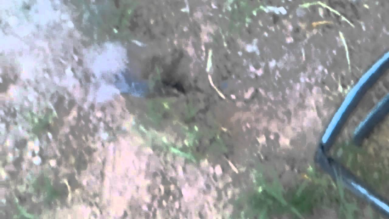 Kiling Gophers Gone Wrong!! - YouTube