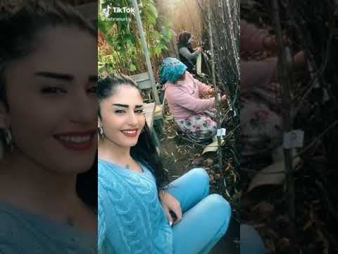 TİKTOK AKIMLARI- Aramızda Dağlar Var